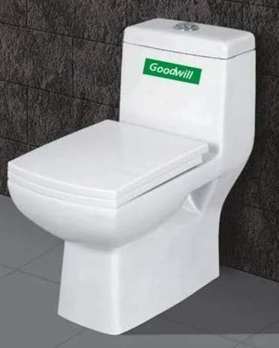 COMPLETE SET OF WATER CLOSET (WC) | GOODWILL CERAMIC LIMITED. We are ...