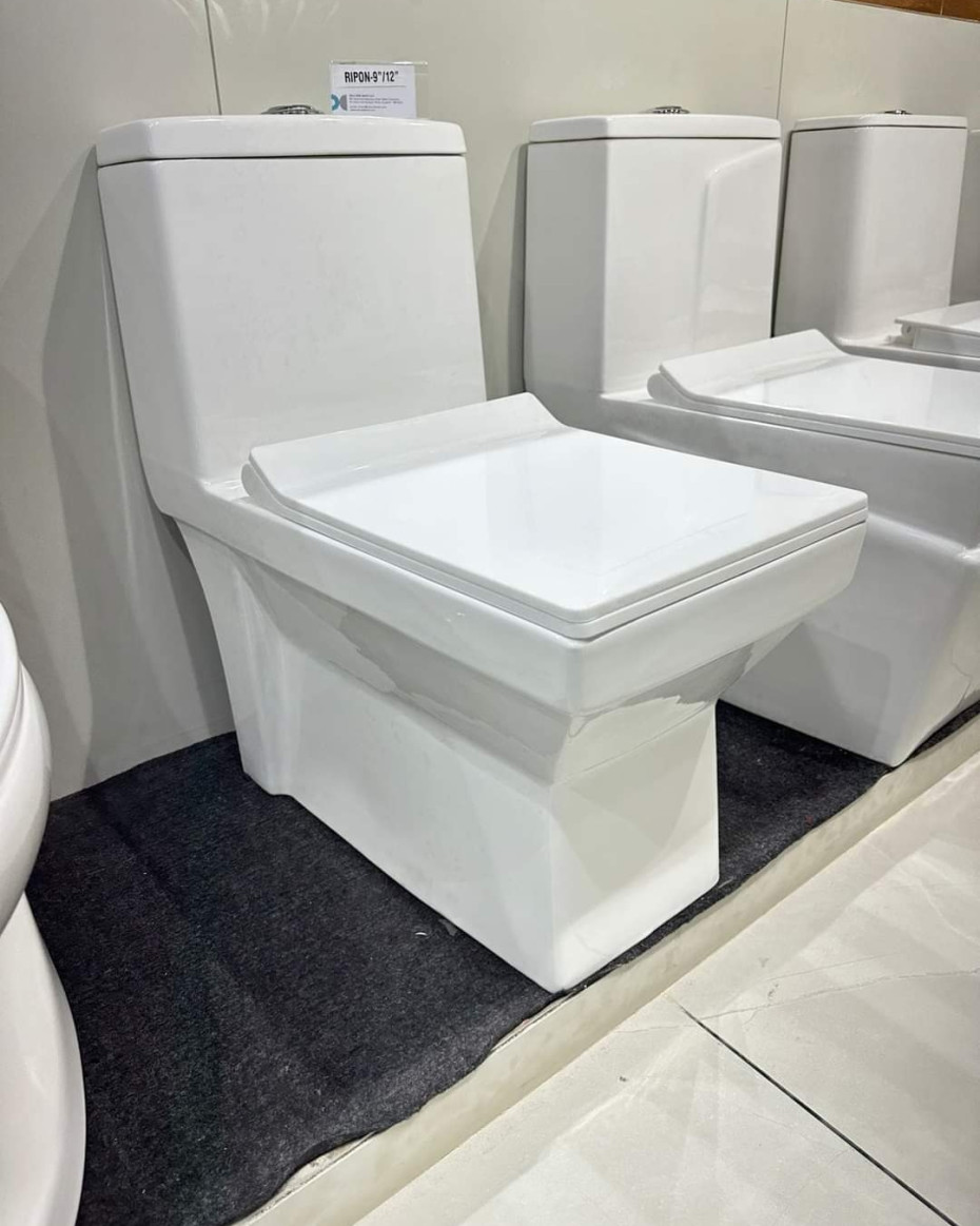 COMPLETE SET OF WATER CLOSET (WC) | GOODWILL CERAMIC LIMITED. We are ...