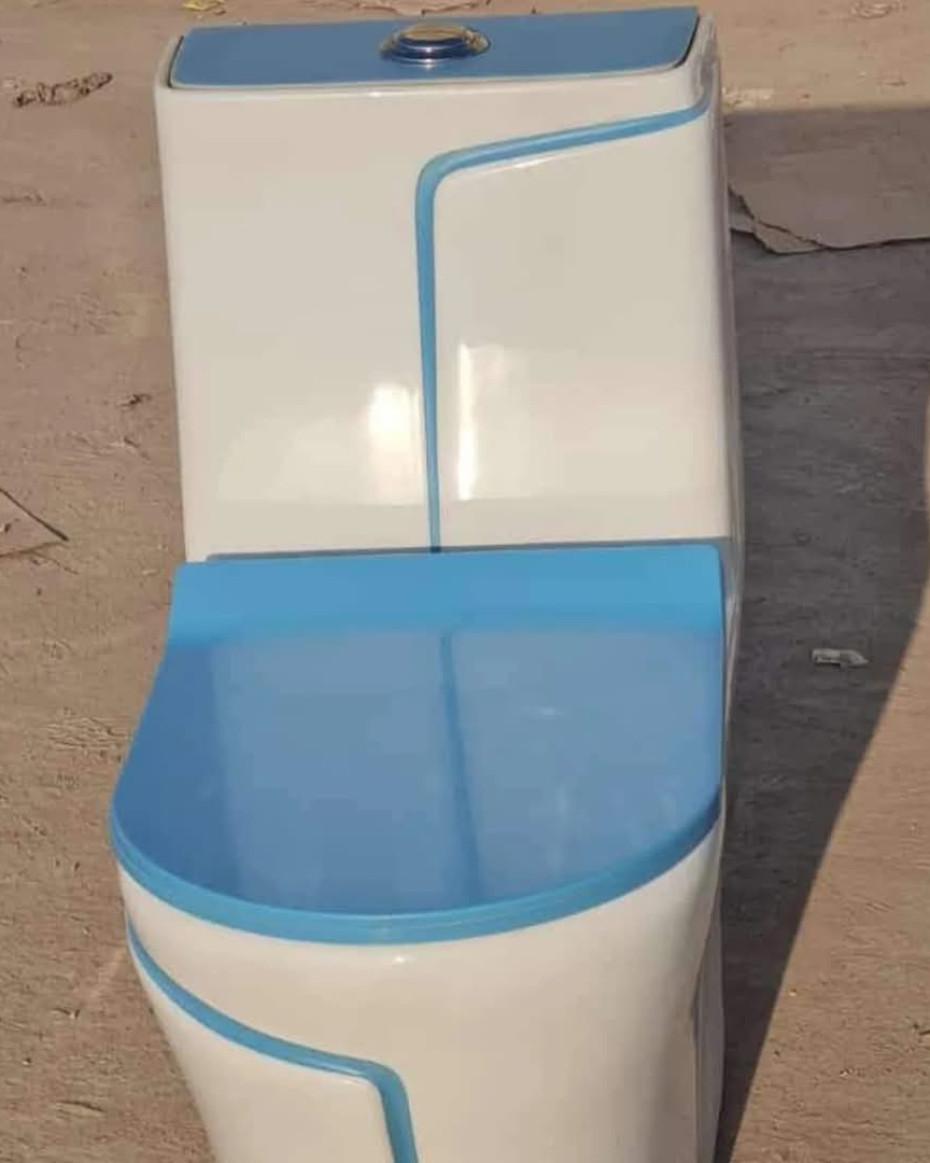 COMPLETE SET OF WATER CLOSET (WC) | GOODWILL CERAMIC LIMITED. We are ...