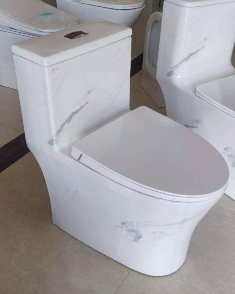 COMPLETE SET OF WATER CLOSET (WC) | GOODWILL CERAMIC LIMITED. We are ...