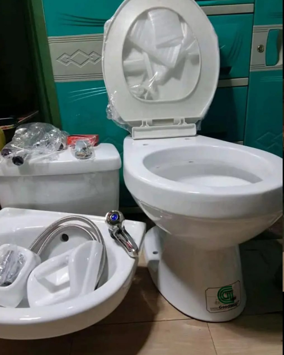 COMPLETE SET OF WATER CLOSET (WC) | GOODWILL CERAMIC LIMITED. We are ...